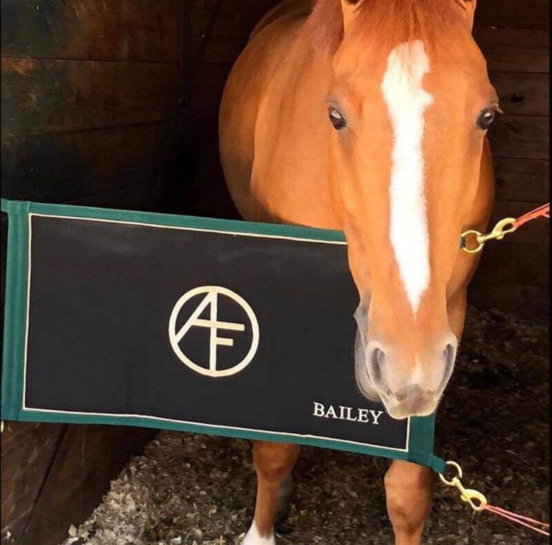 Embroidered Name Horse Stall Valance